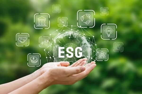Sustainability (ESG) - AMD Consulting